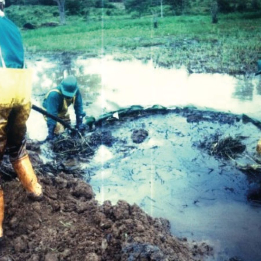 ¿Quiénes somos? – Varichem